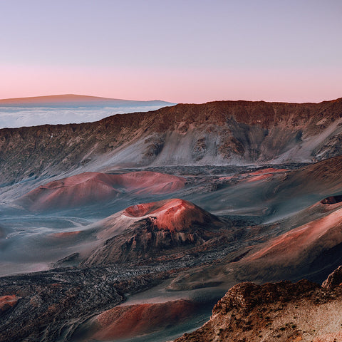 Artists - Foster / White Gallery – Foster/White Gallery