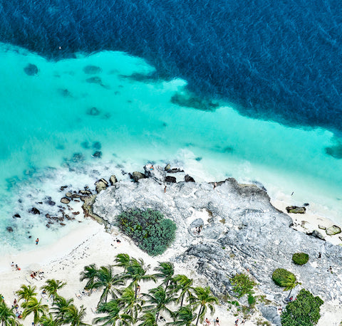 Artists - Foster / White Gallery – Foster/White Gallery