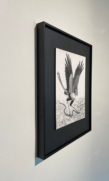 Tony Angell Artwork 'Secretary Bird' | Available at Foster White ...