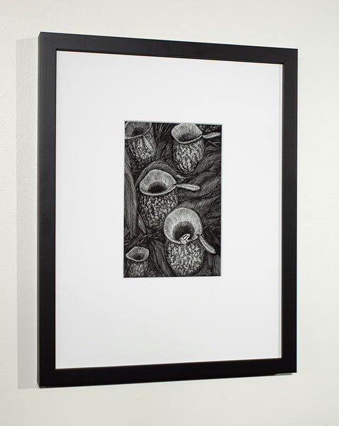 Tony Angell Artwork 'Matang Narrow-Mouthed Frog' | Available at Foster ...
